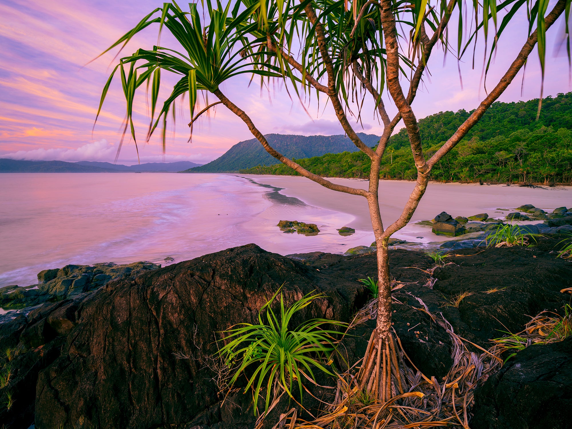 Noah Beach - Mitchell Burns Gallery – mitchell burns