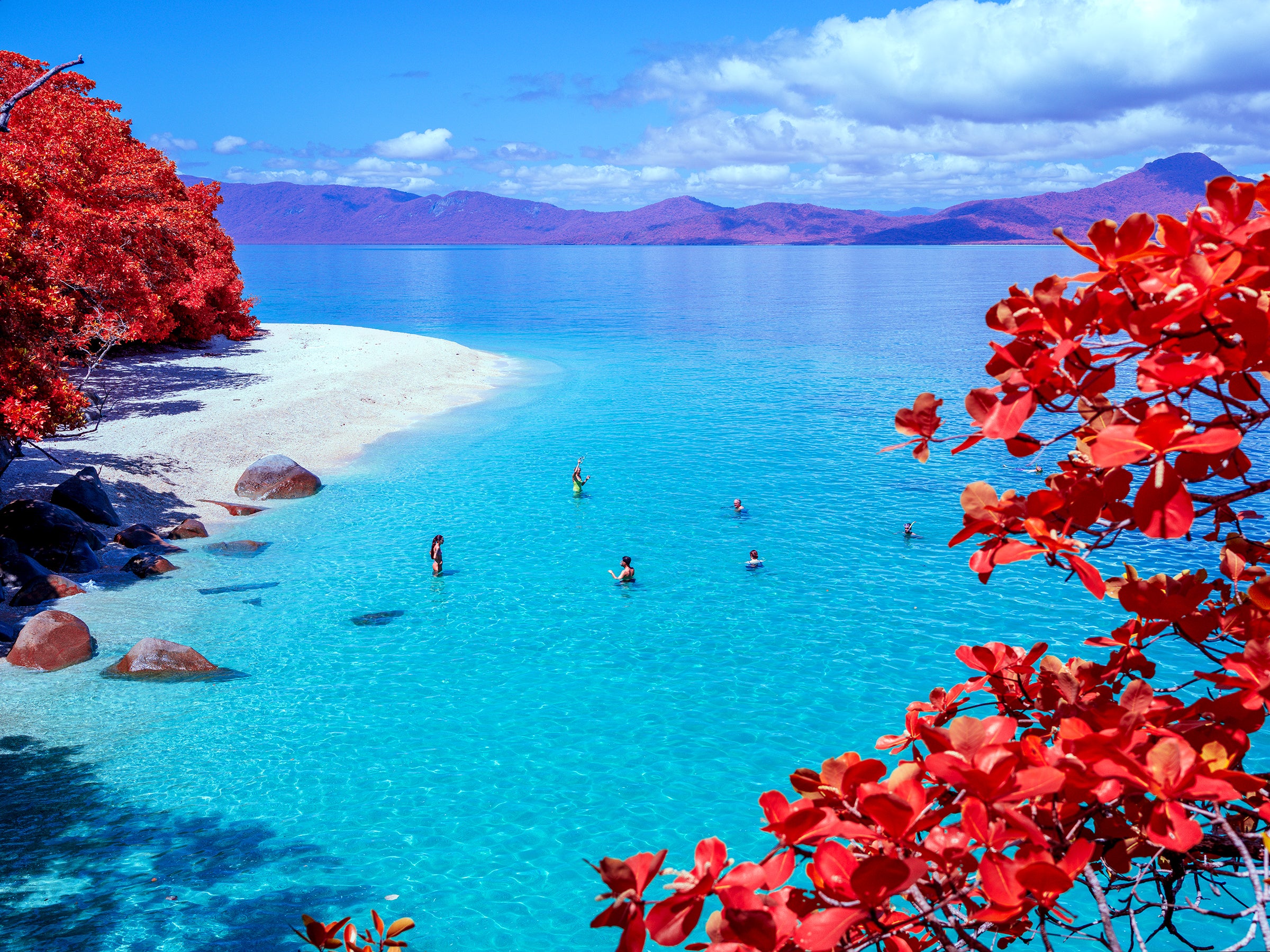 Sea Pool – mitchell burns