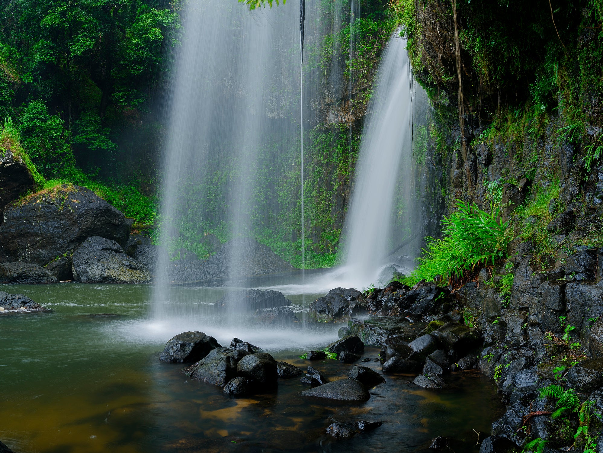 Flow- Mitchell Burns Gallery – mitchell burns