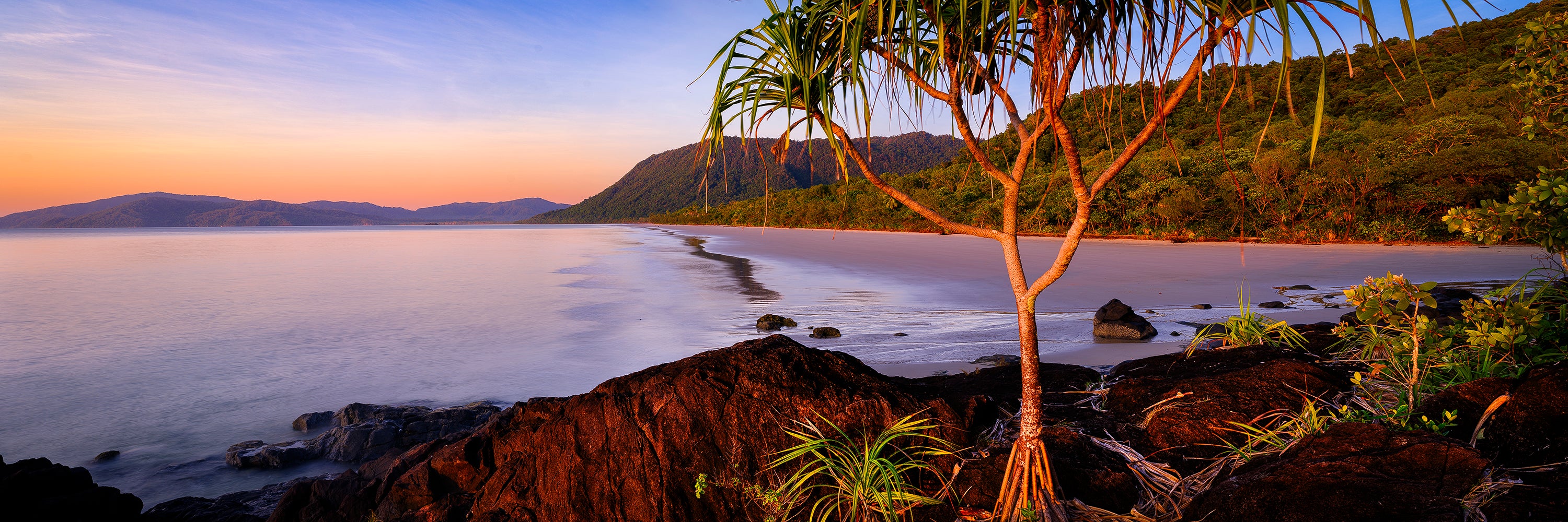 Divine - Mitchell Burns Gallery – mitchell burns