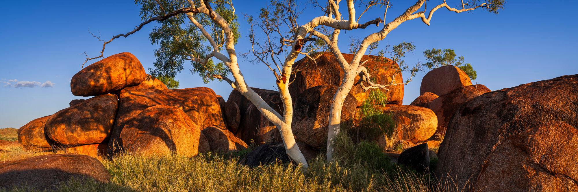 Outback Embrace - Mitchell Burns Gallery – mitchell burns