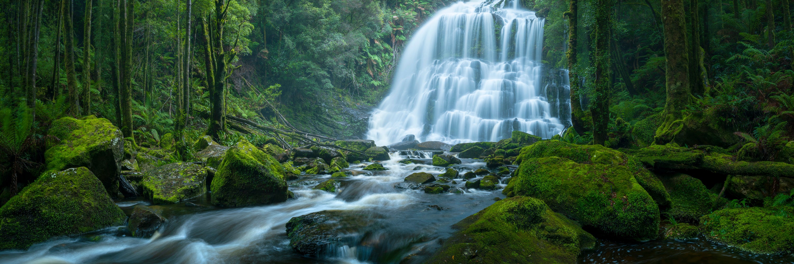Serenity - Mitchell Burns Gallery – mitchell burns