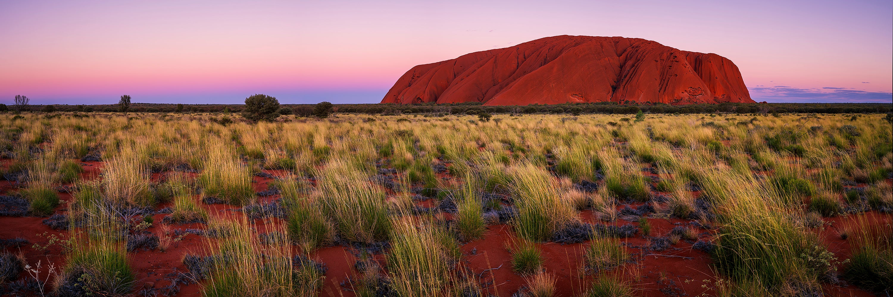 Ancient Light - Mitchell Burns Gallery – mitchell burns
