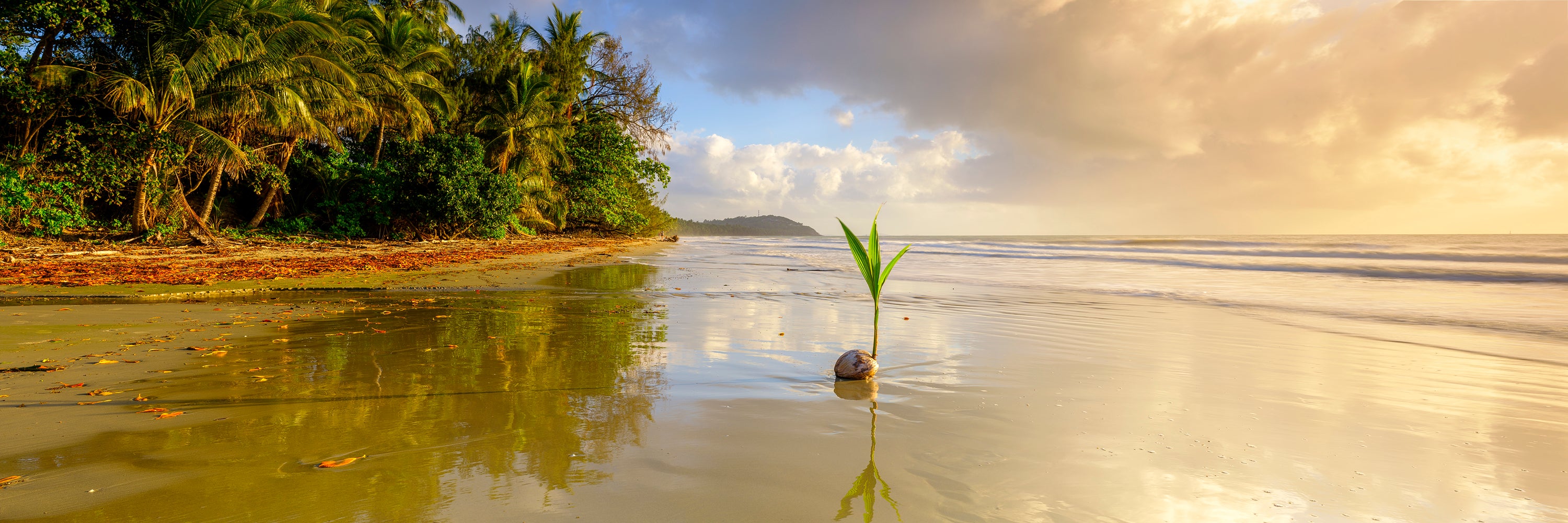 Sunkissed – mitchell burns